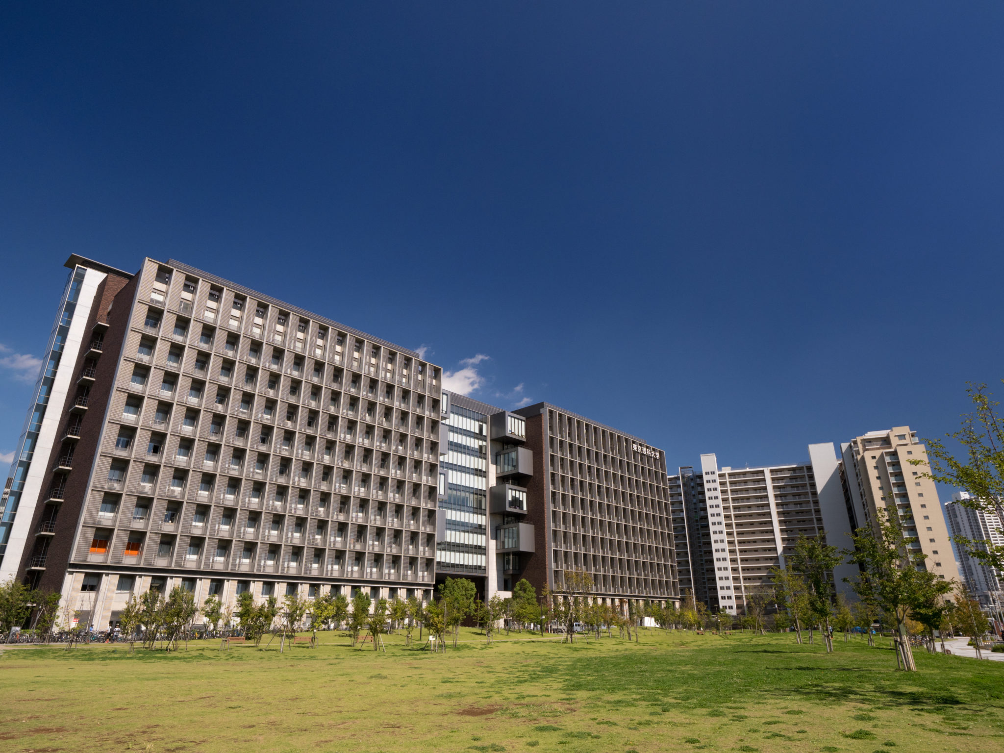 【大学入試対策】東京理科大学の入試傾向と対策 | CLEAR受験【オンライン予備校】